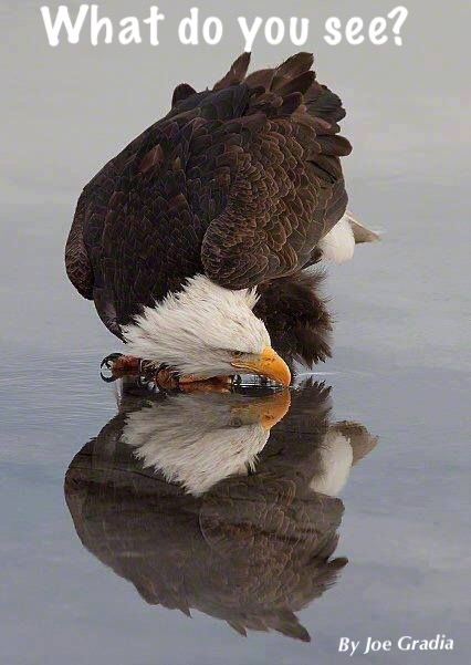 Do you like what you see? – Get Positive Power